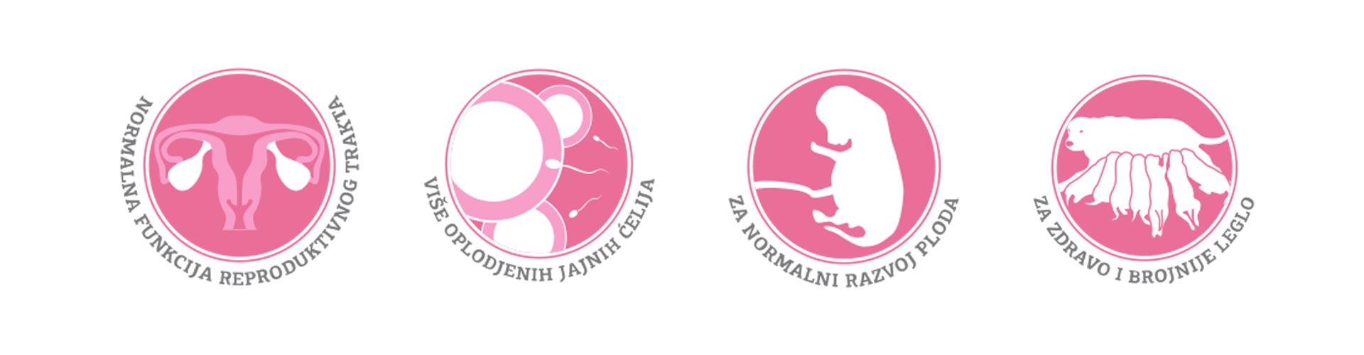 REPROVET female - Premium supplements for dogs | SIGMAVET