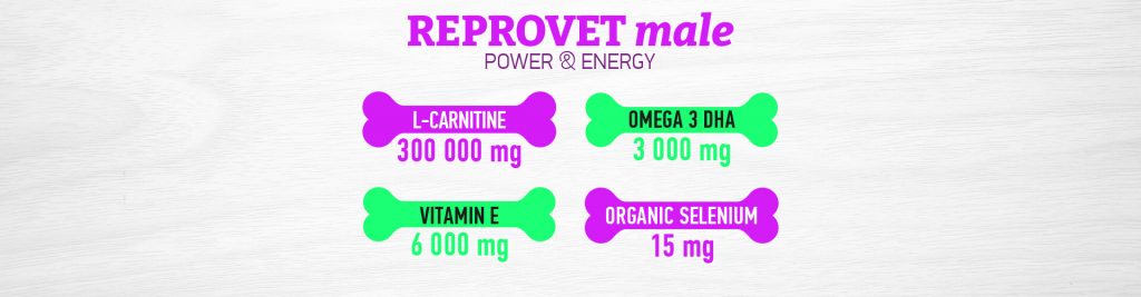 REPROVET male - Premium supplements for dogs | SIGMAVET