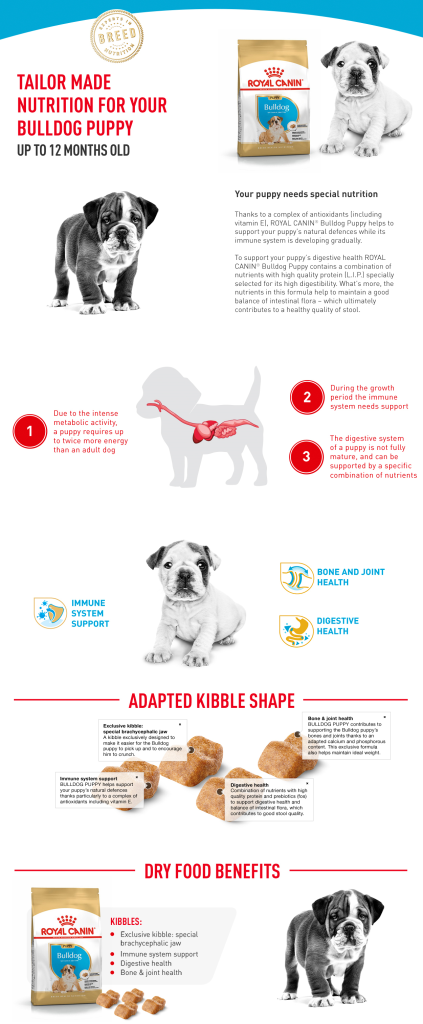 Royal Canin Bulldog Puppy 3kg - The Best Dog Food in Sri Lanka | SIGMAVET