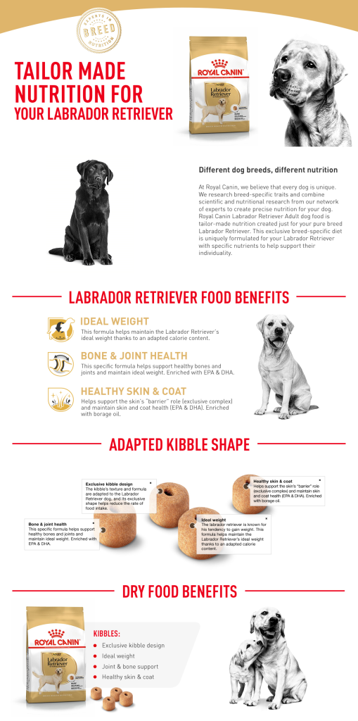 Royal Canin Labrador Retriever Adult 3kg - The Best Dog Food in Sri ...